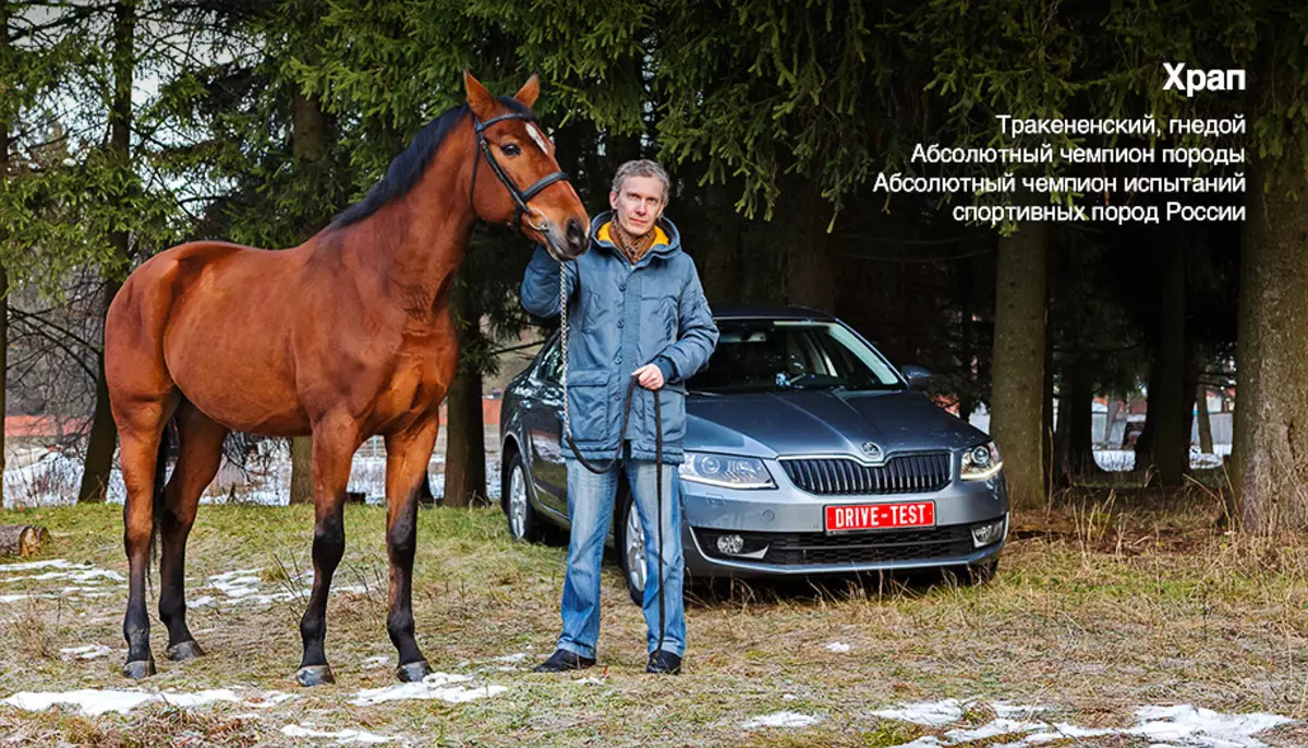 2013ko auto onenekin zaldiaren urtea ospatzen dugu