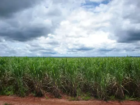 સારી અને Bioethanol ખરાબ વિપક્ષ શું છે