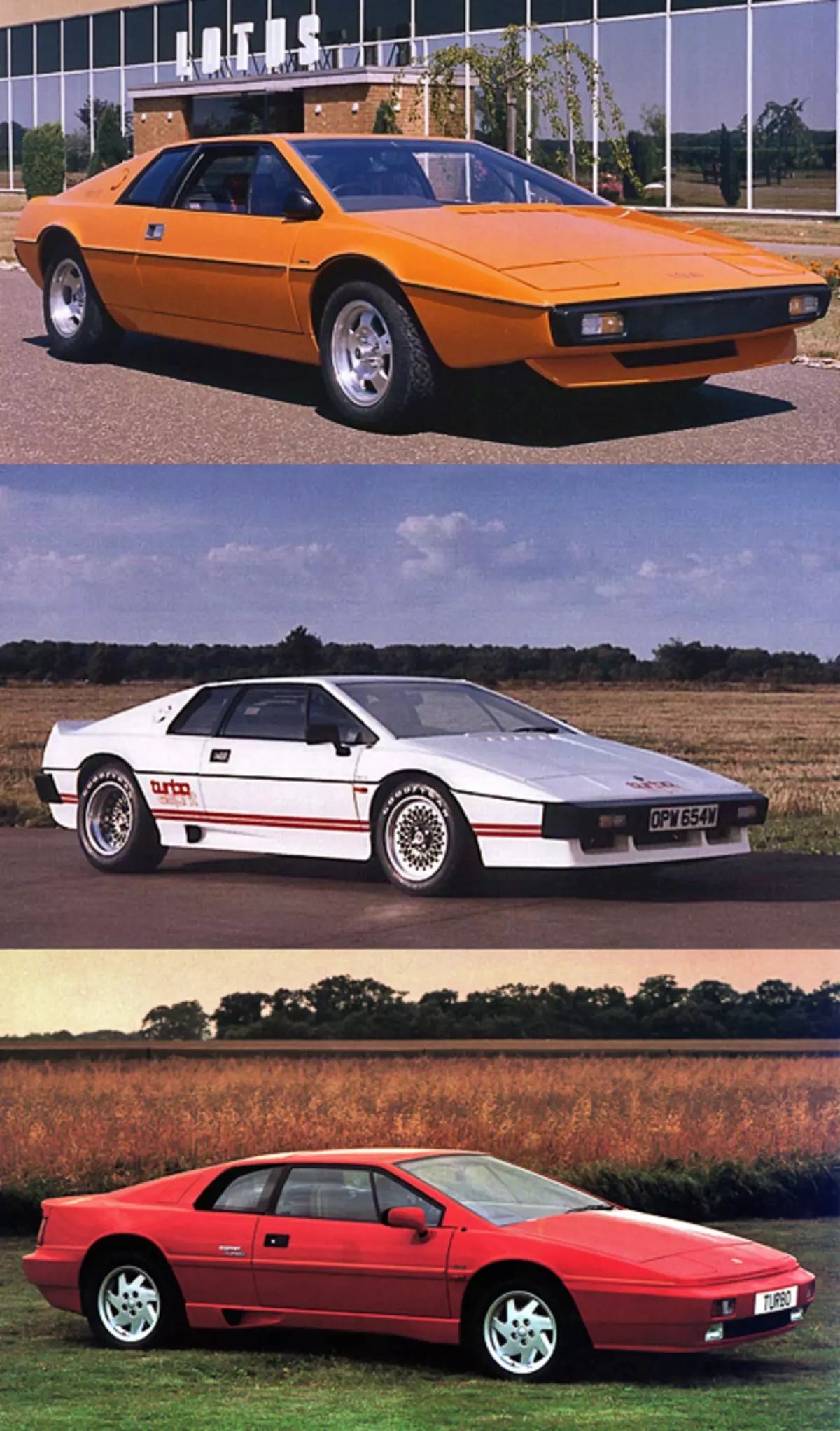 Kunst! Història Lotus Esprit - Brillant Supercar calç 32685_3